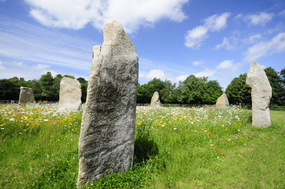 The Sussex Stone Circle - Neil Lawson Baker
